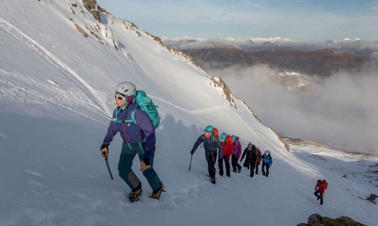 Winter Mountain Leader